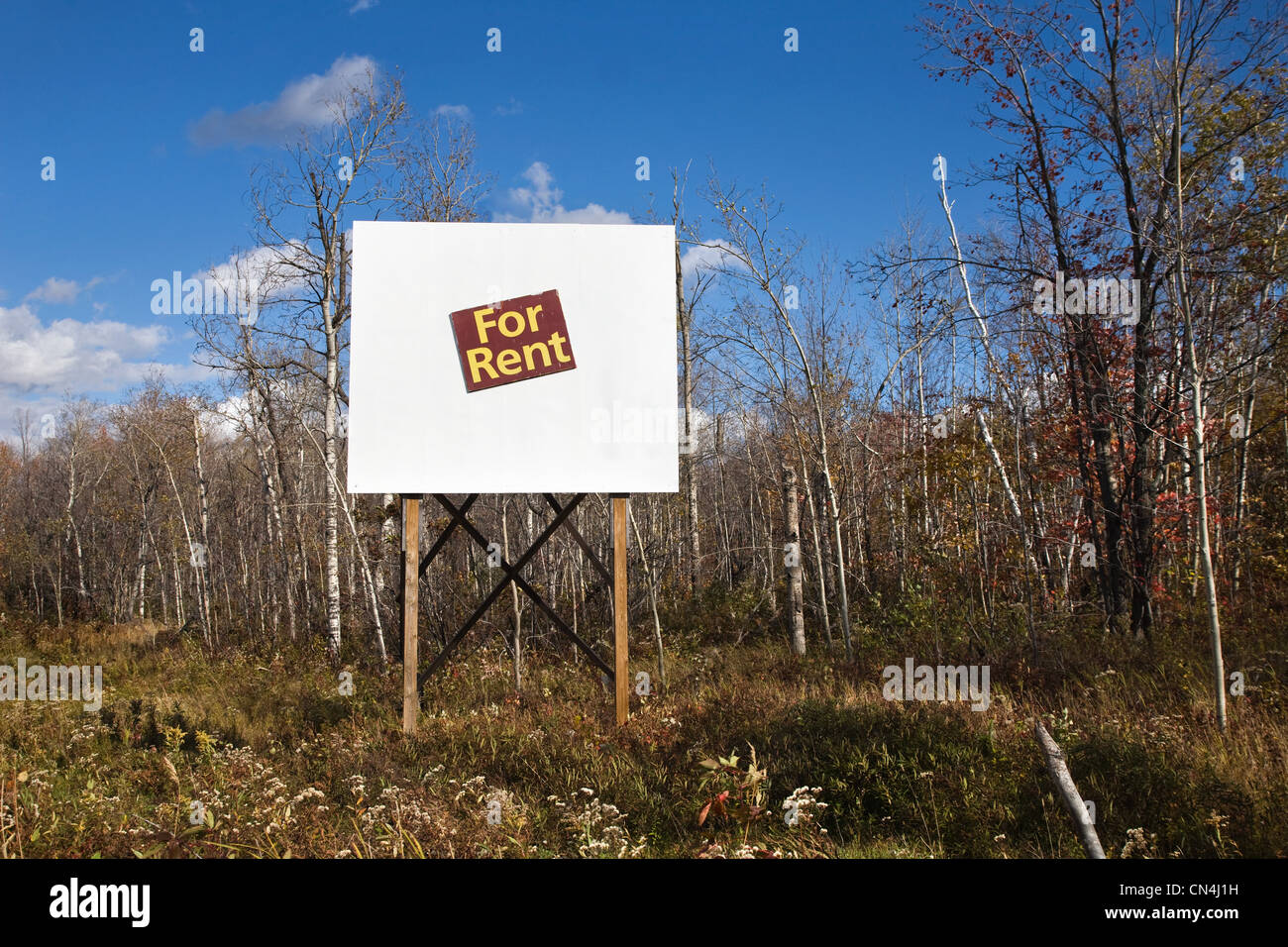 Visual wilderness hi-res stock photography and images - Alamy