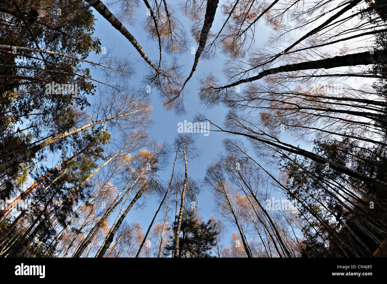 Fisheye view hi-res stock photography and images - Alamy