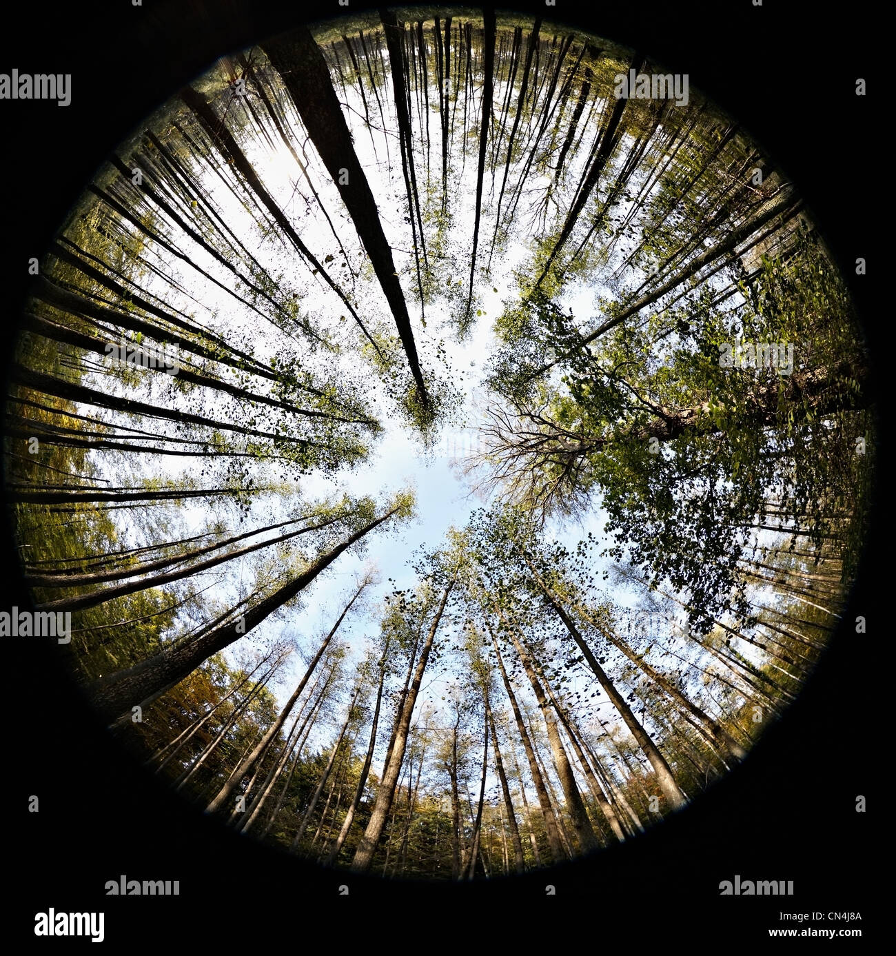 Fisheye view of hi-res stock photography and images - Alamy