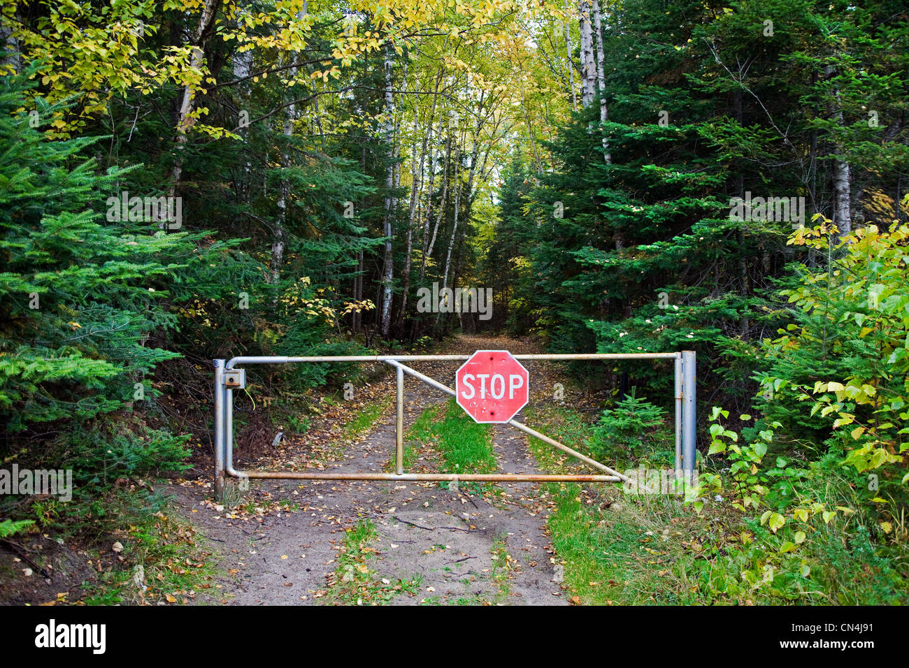 Stop gate hi-res stock photography and images - Alamy