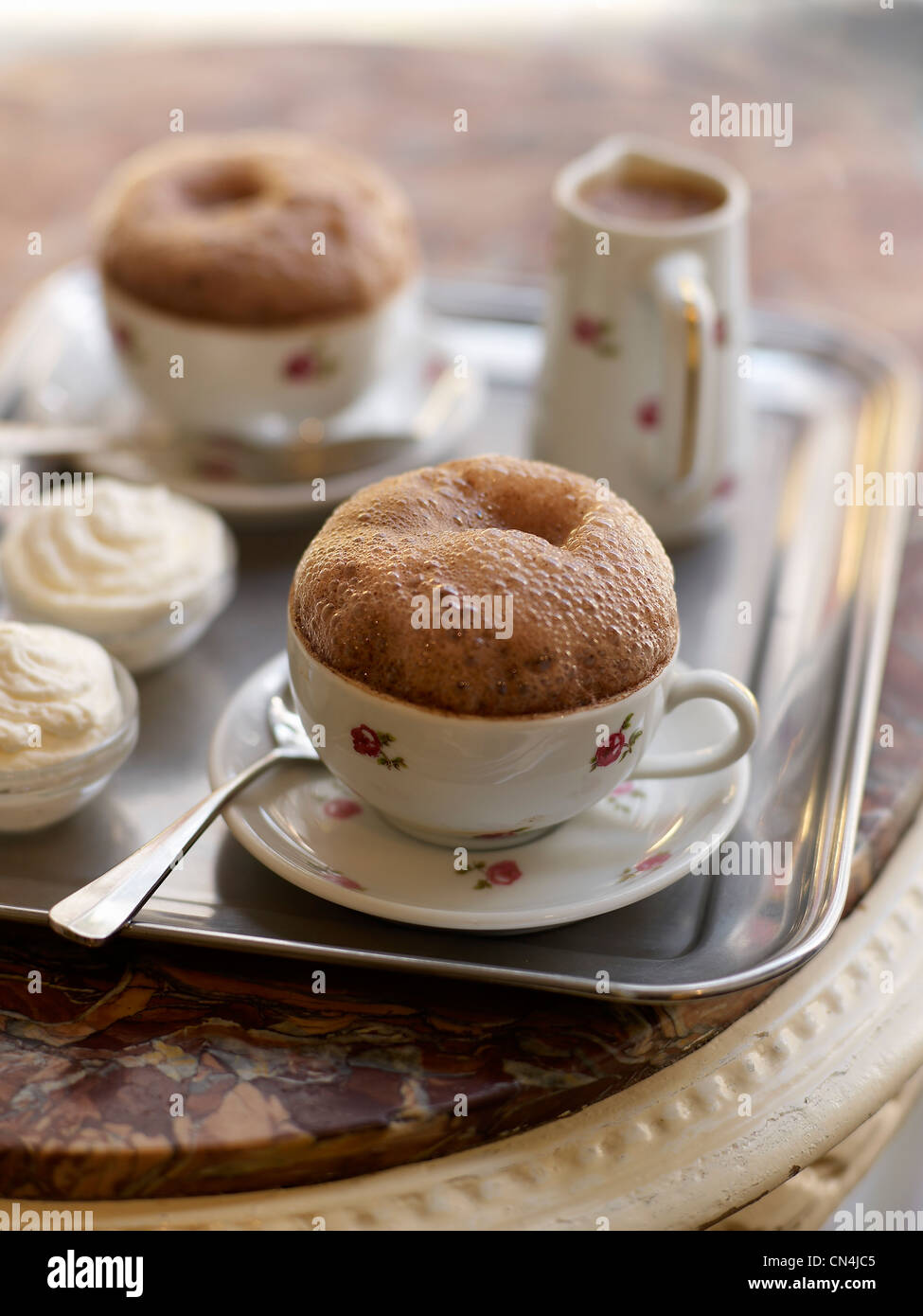 France, Pyrenees Atlantiques, Bayonne, Arnaud Daguin's coverage of the ...