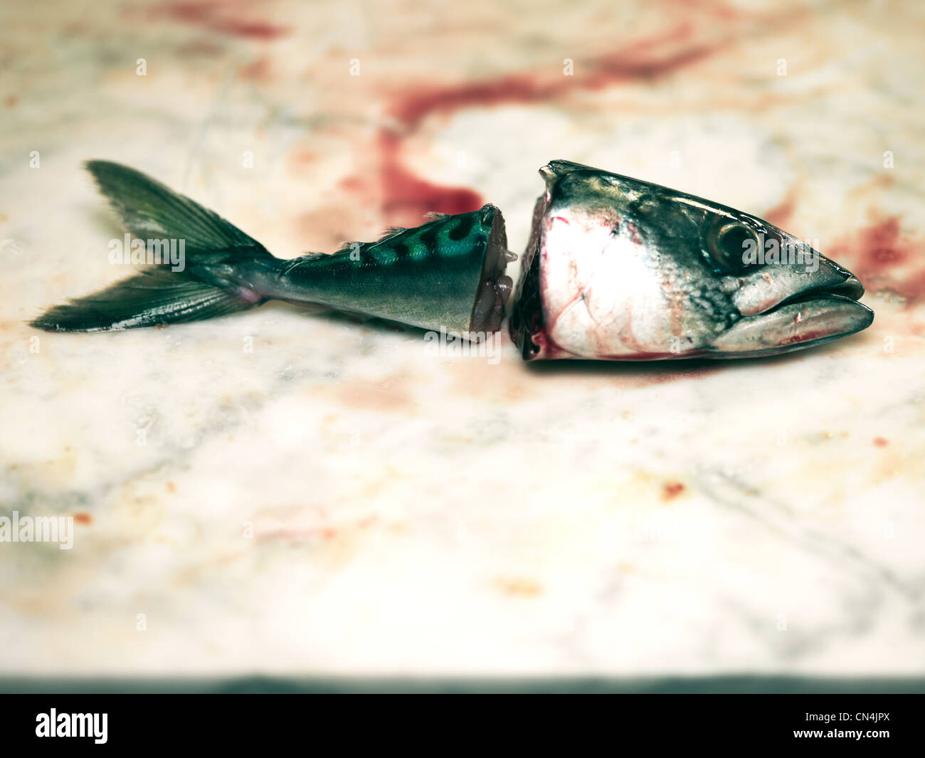 Tail of fish hi-res stock photography and images - Alamy