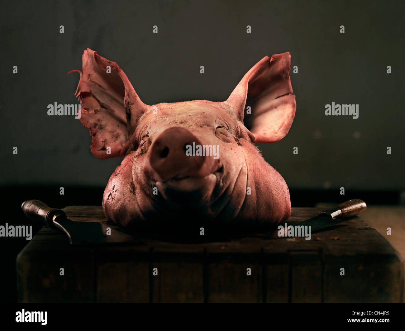 Dead Pig Head Stock Photos & Dead Pig Head Stock Images - Alamy