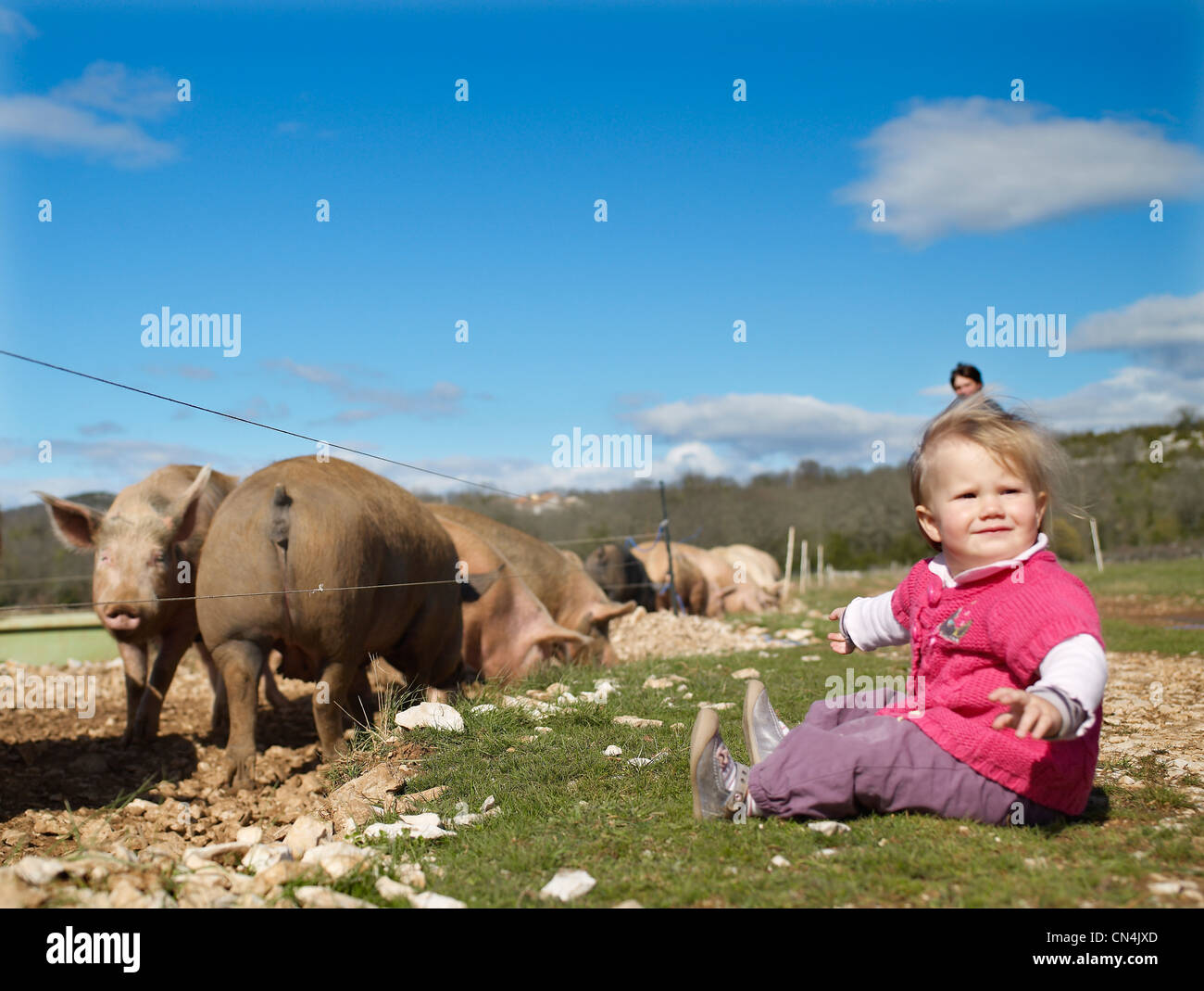 France, Larzac, Aveyron, feature: Epic Pork, little girl with pigs ...