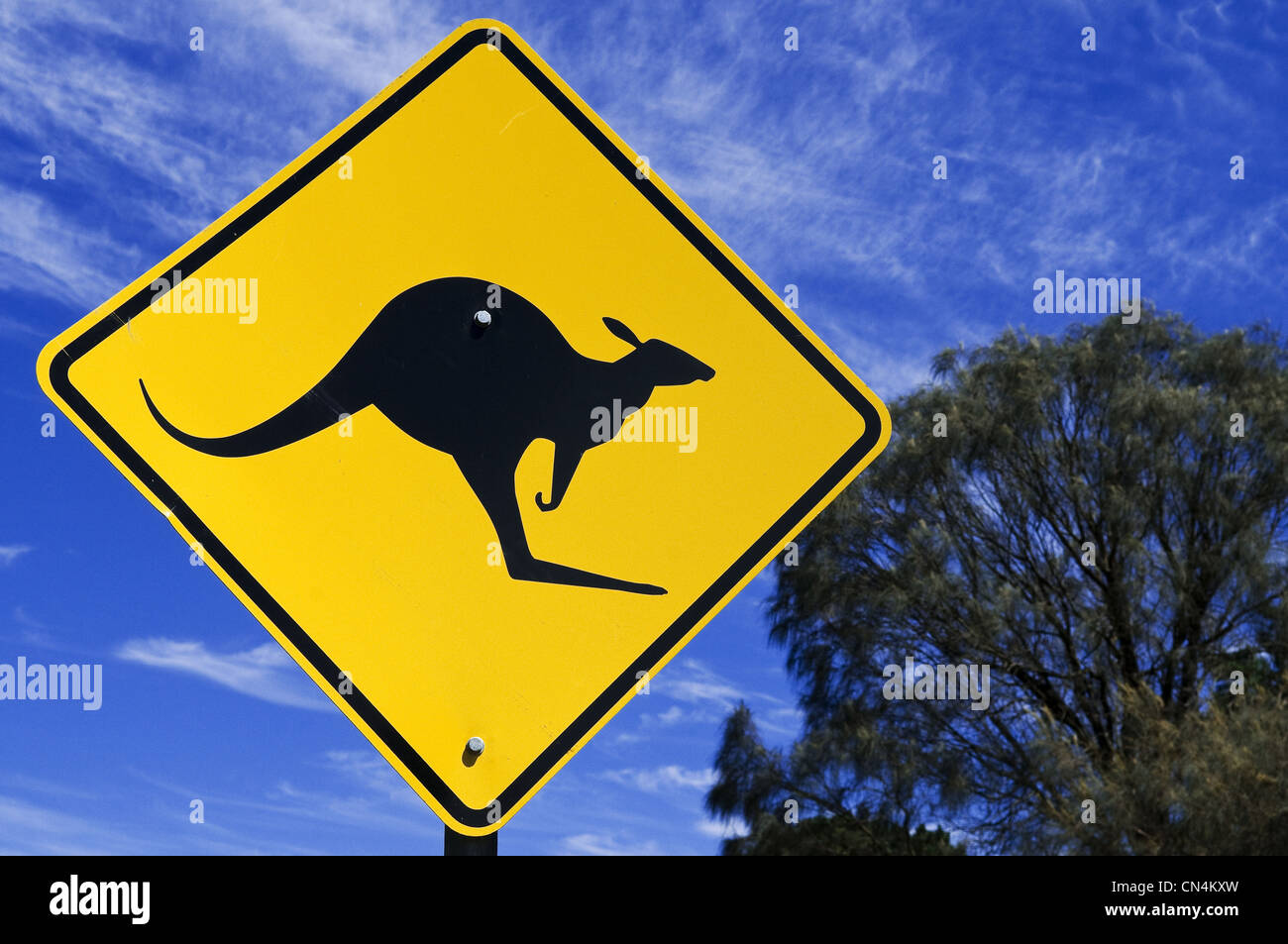 Mornington peninsula australia road hi-res stock photography and images ...