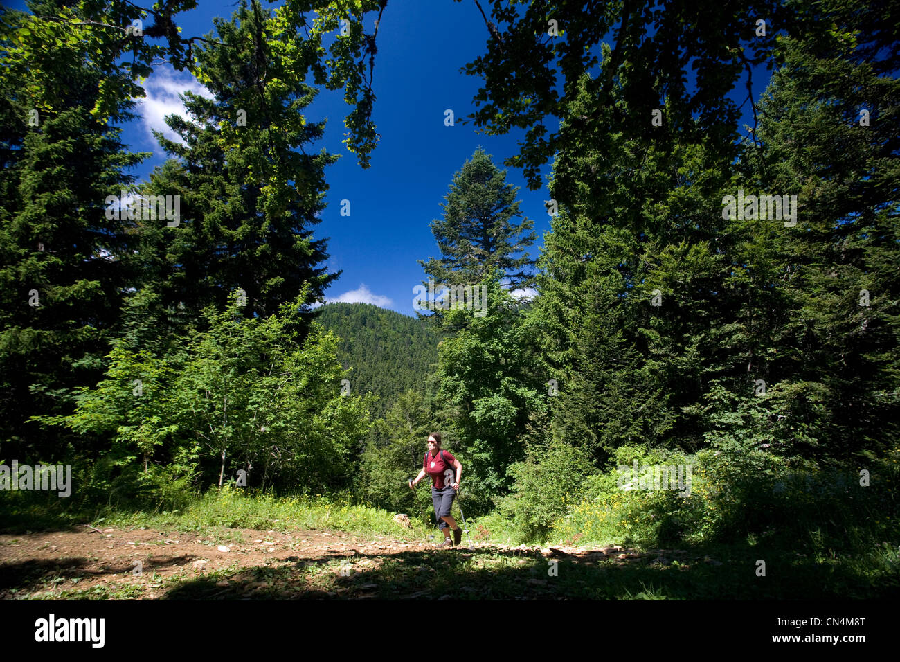 France, Isere, Parc Naturel Regional de la Chartreuse (Natural Regional ...
