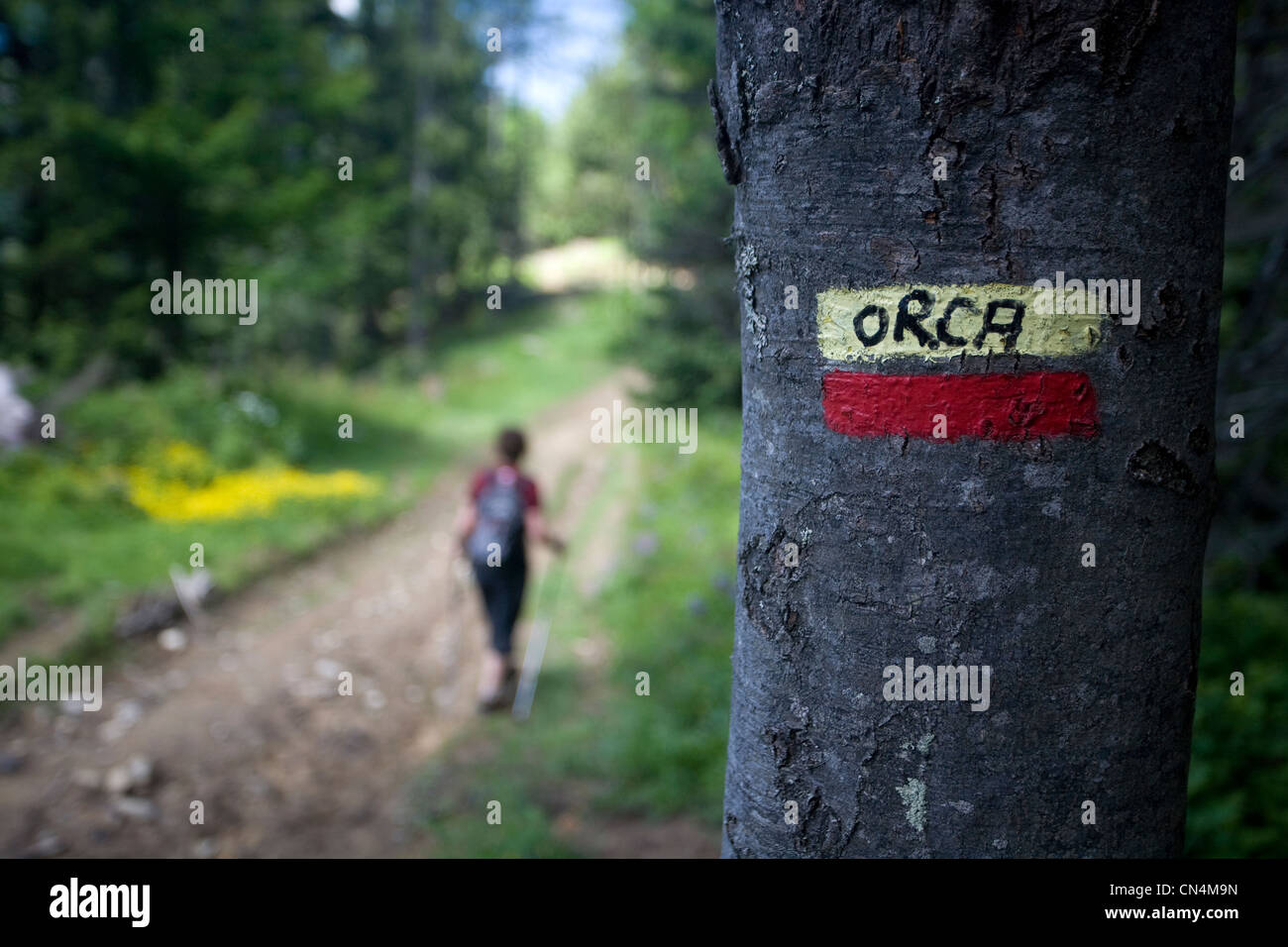 France, Isere, Parc Naturel Regional de la Chartreuse (Natural Regional ...