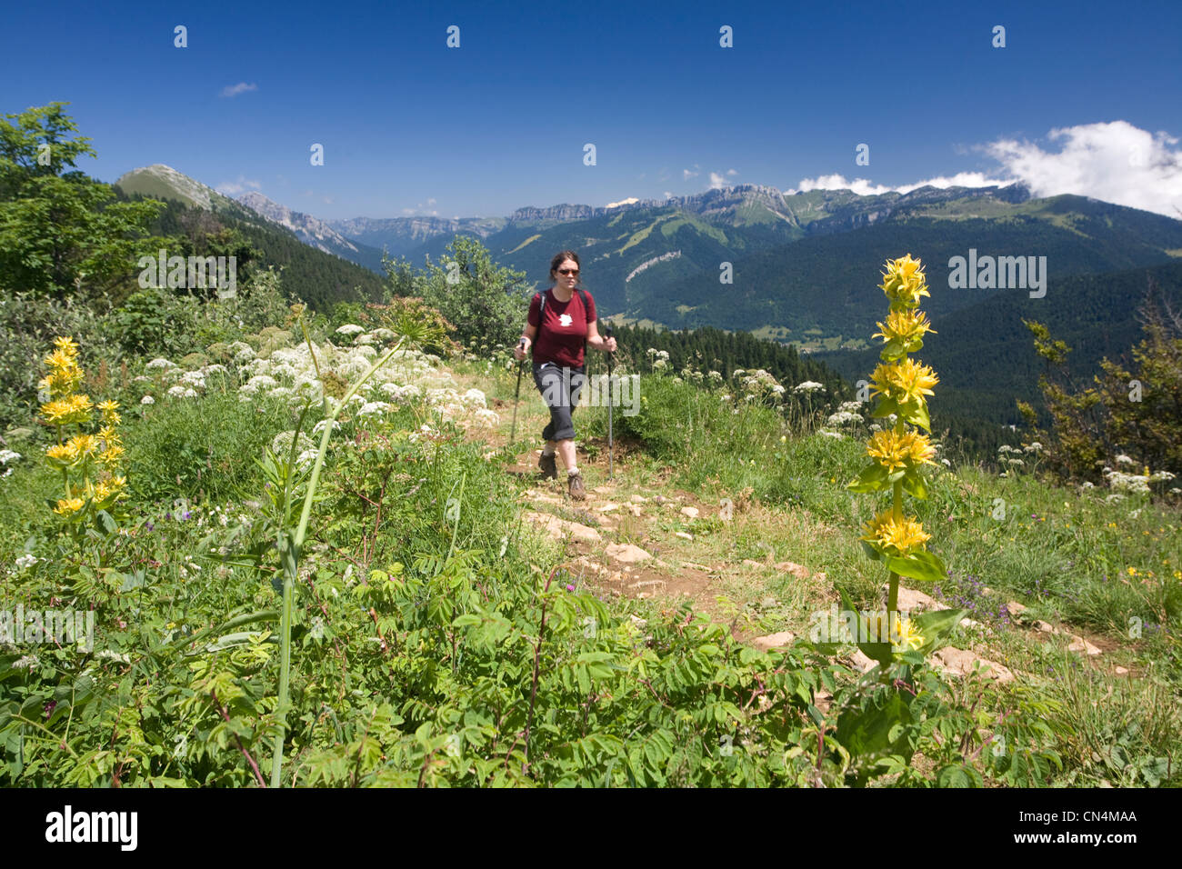 France, Isere, Parc Naturel Regional de la Chartreuse (Natural Regional ...