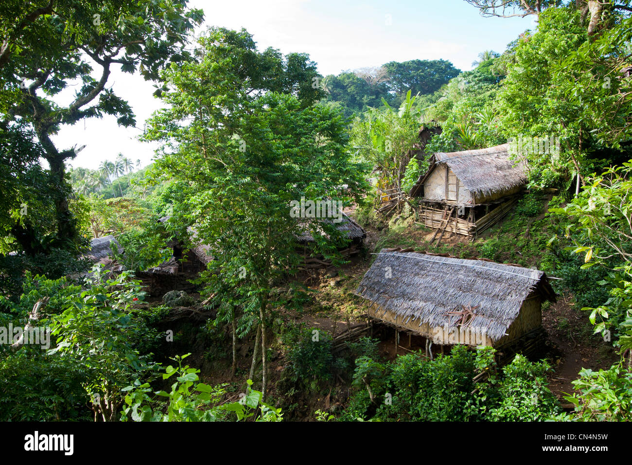 Vanuatu, Penama Province, Pentecost Island, Bunlap, traditional houses ...