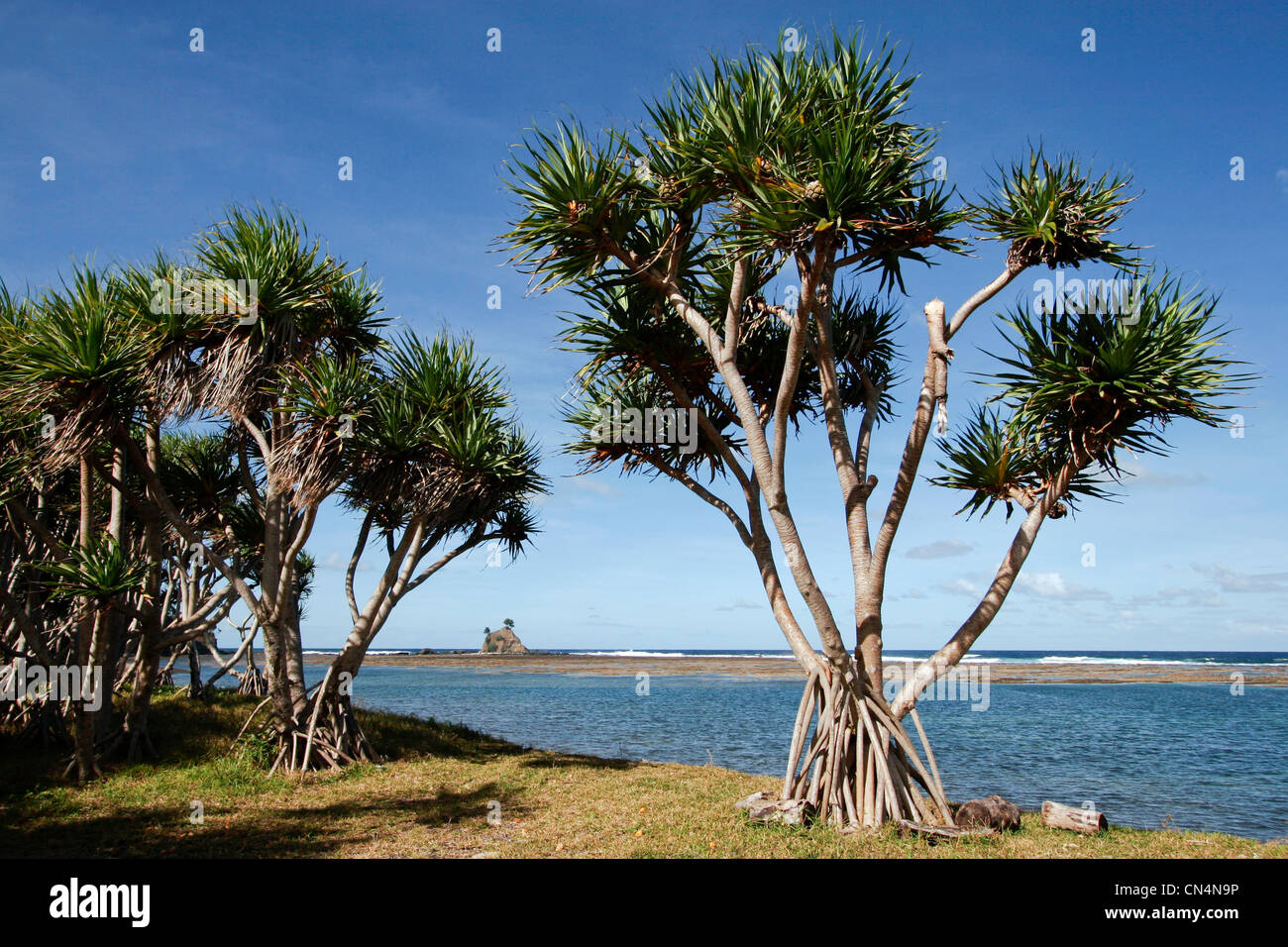 Tafea province hi-res stock photography and images - Alamy