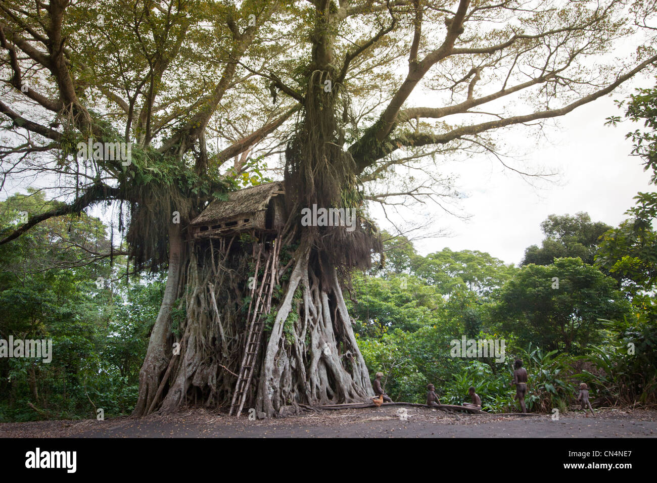Vanuatu, Tafea Province, Tanna Island, Yakel Kastom Village ...