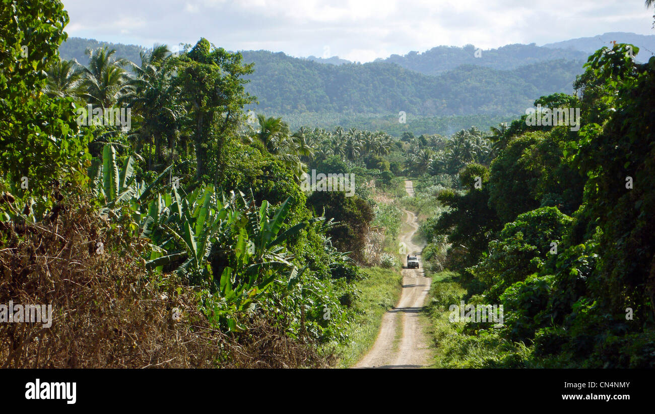 Malekula jungle hi-res stock photography and images - Alamy