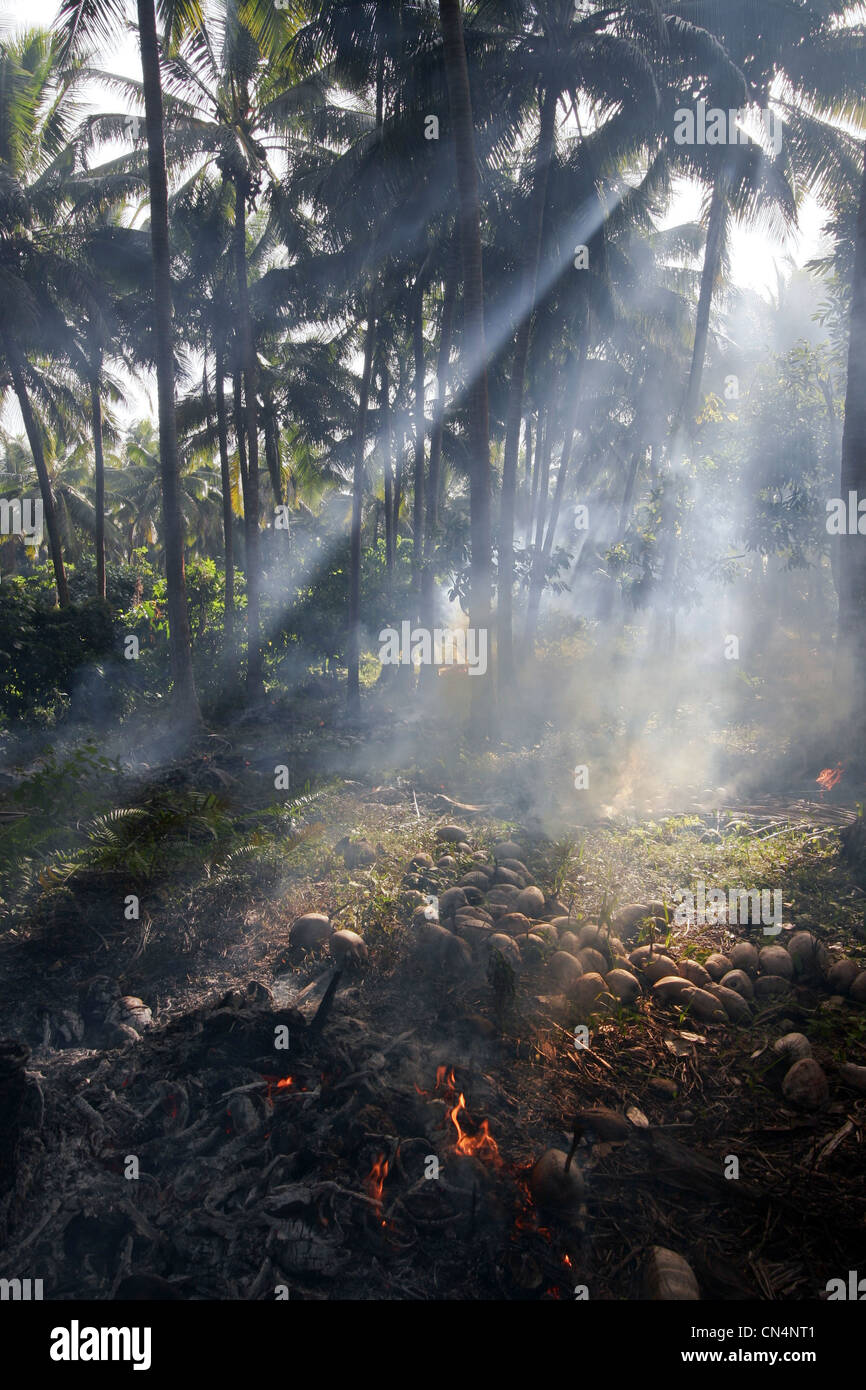 Vanuatu, Malampa Province, Malekula Island, Lokatoro, burning of ...