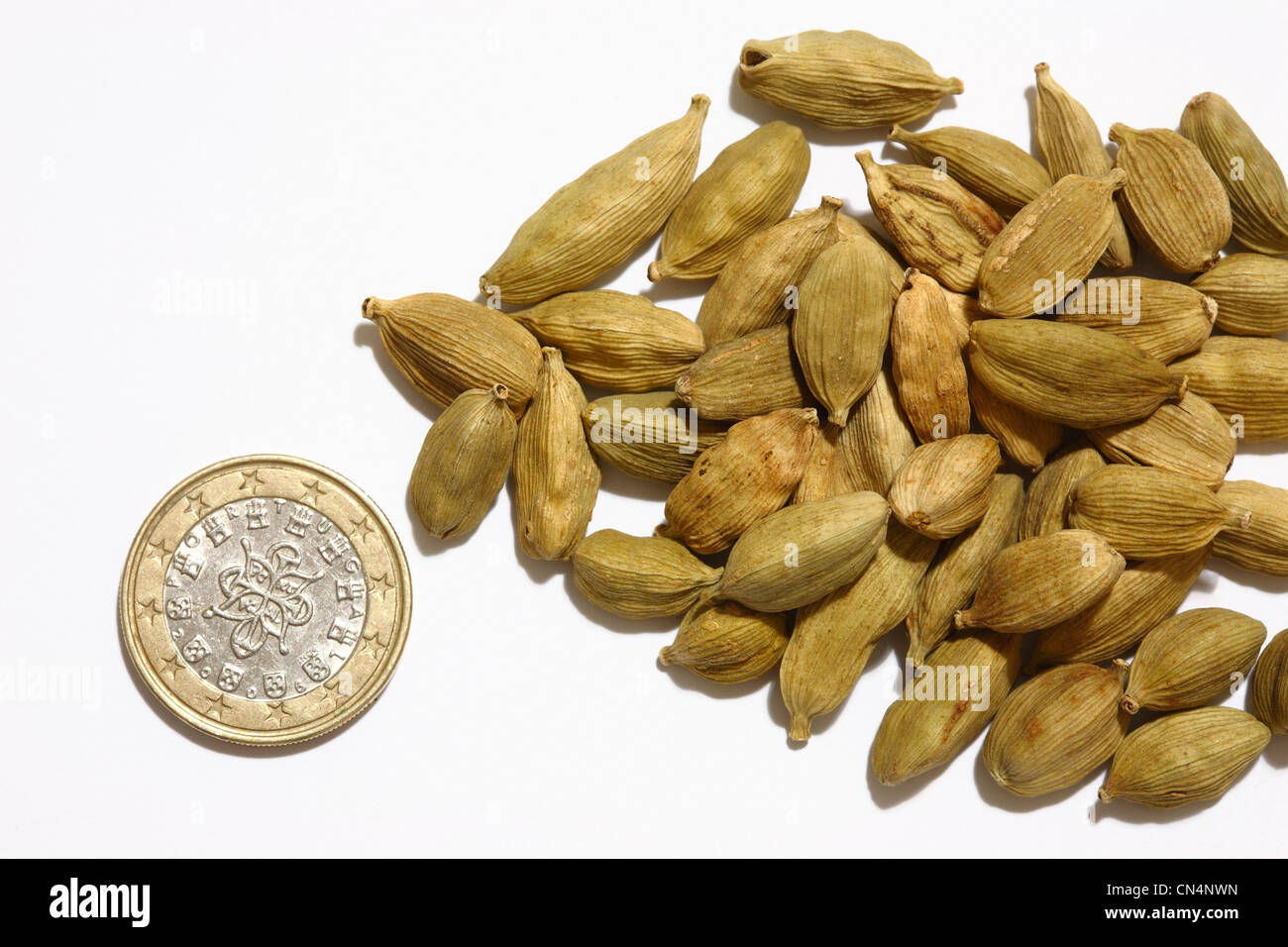 Cardamom pods and 1 euro coin on white background Stock Photo - Alamy