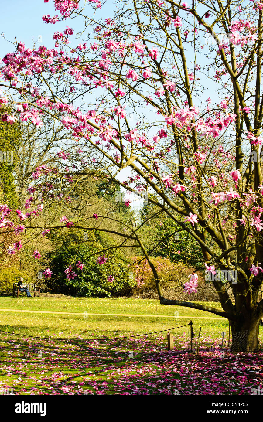 Saville gardens windsor hi-res stock photography and images - Alamy