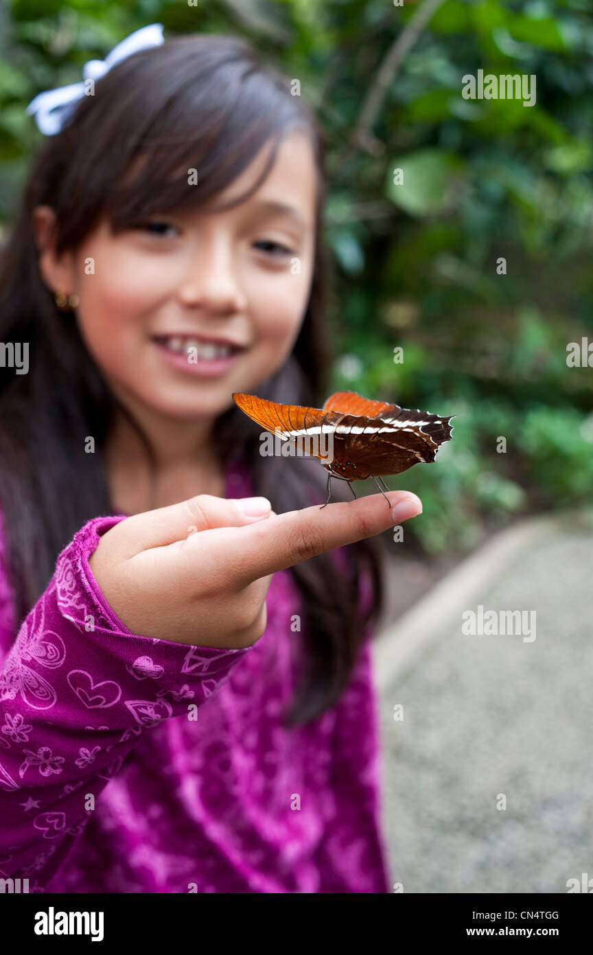 Colombia insect hi-res stock photography and images - Alamy