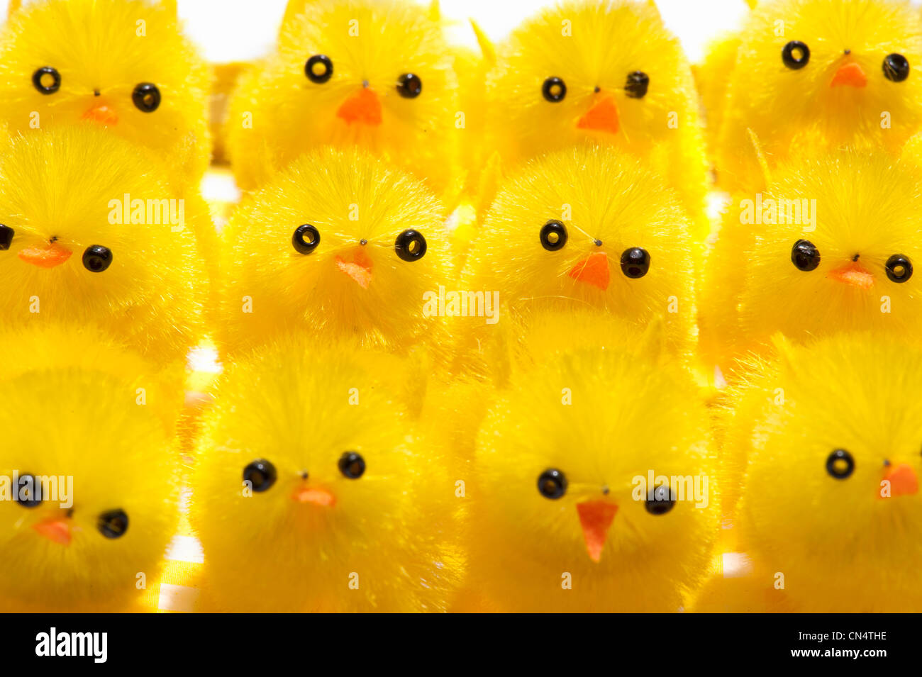 A group of Easter chick decorations, close up Stock Photo - Alamy