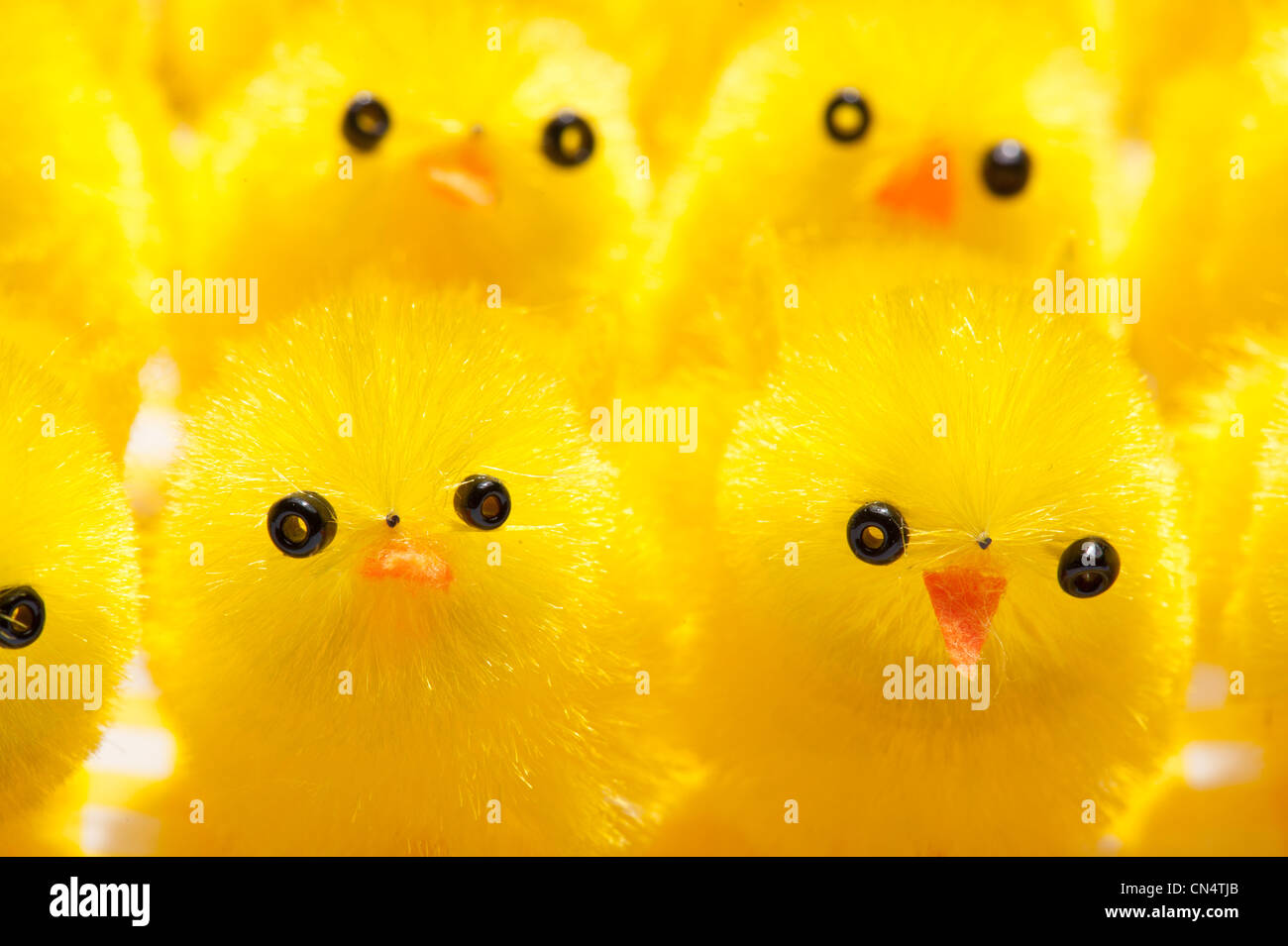 Easter chick decorations, close up Stock Photo - Alamy