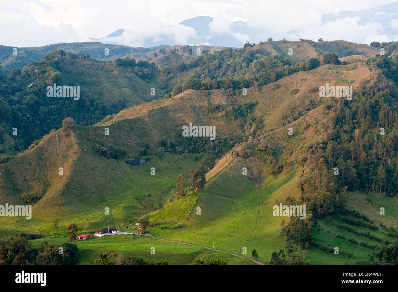 Columbia, Quindio Department, Triangulo del Cafe (the Coffee Triangle ...