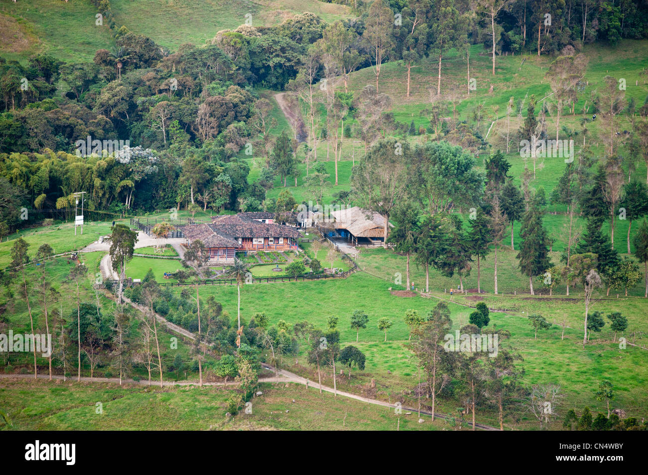 Columbia, Quindio Department, Triangulo del Cafe (the Coffee Triangle ...