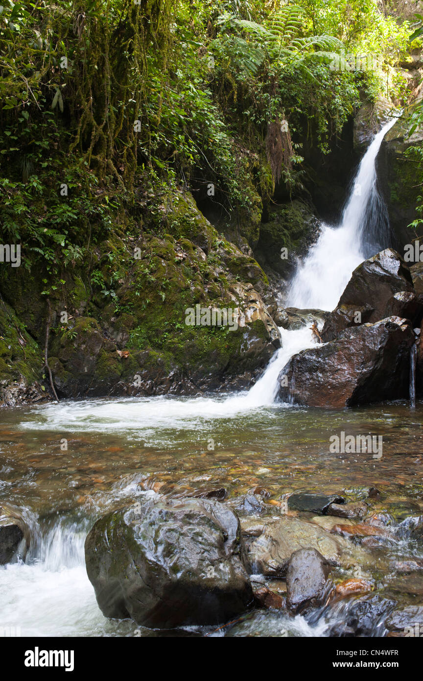 Columbia, Quindio Department, Triangulo del Cafe (the Coffee Triangle ...