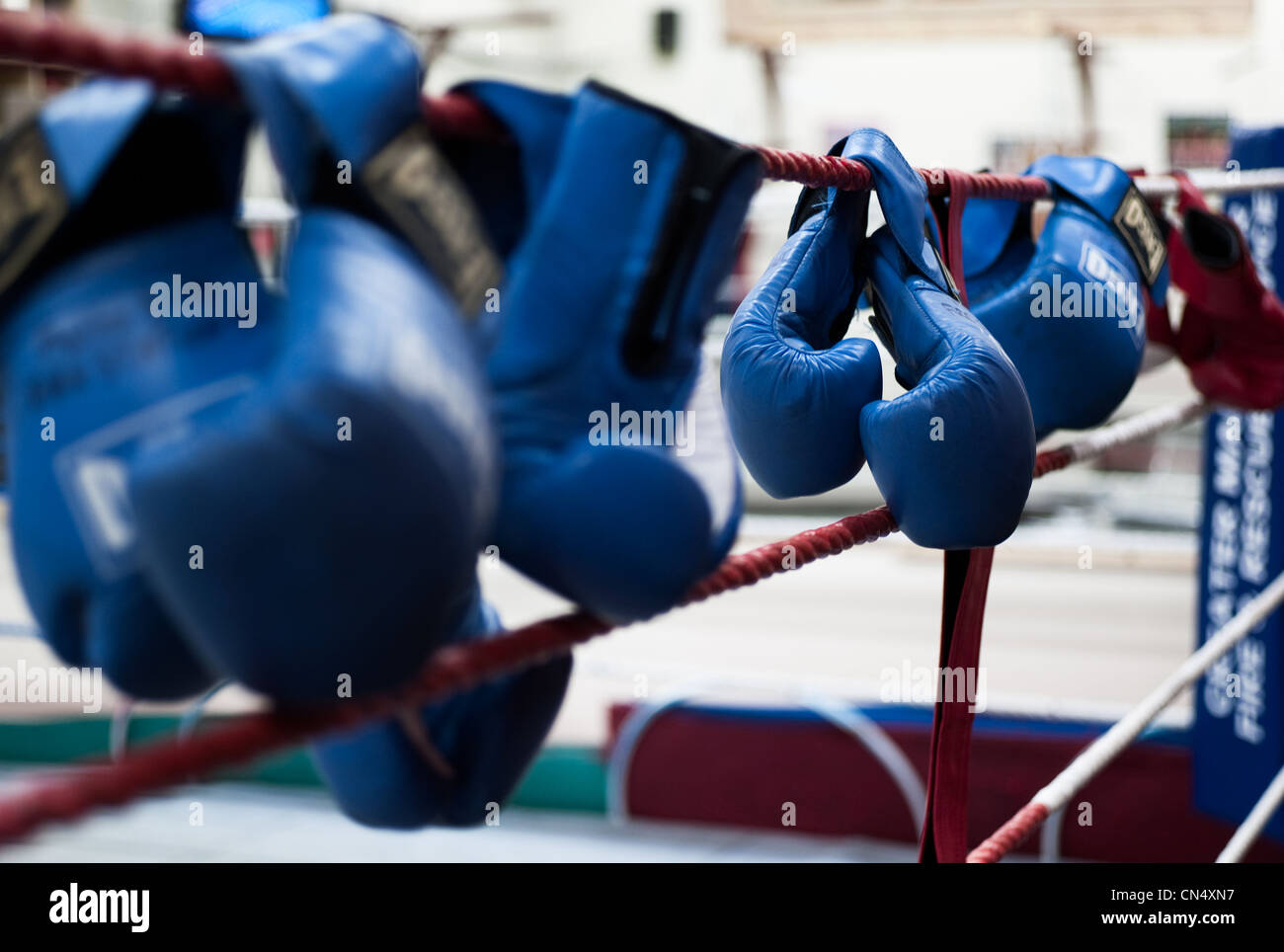 Boxing gloves drapped over the rope of a boxing ring Stock Photo - Alamy