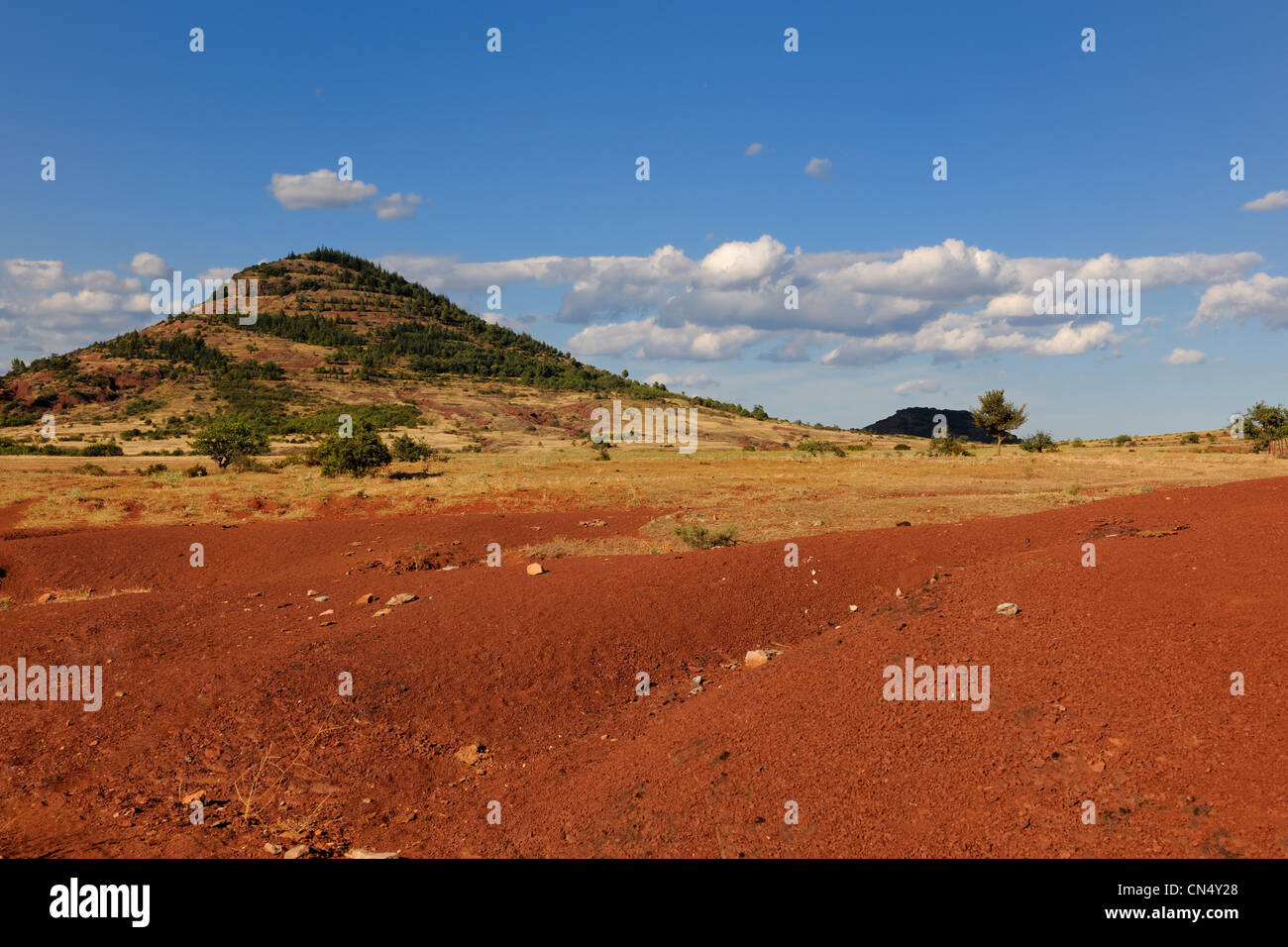 Ruffes hi-res stock photography and images - Alamy