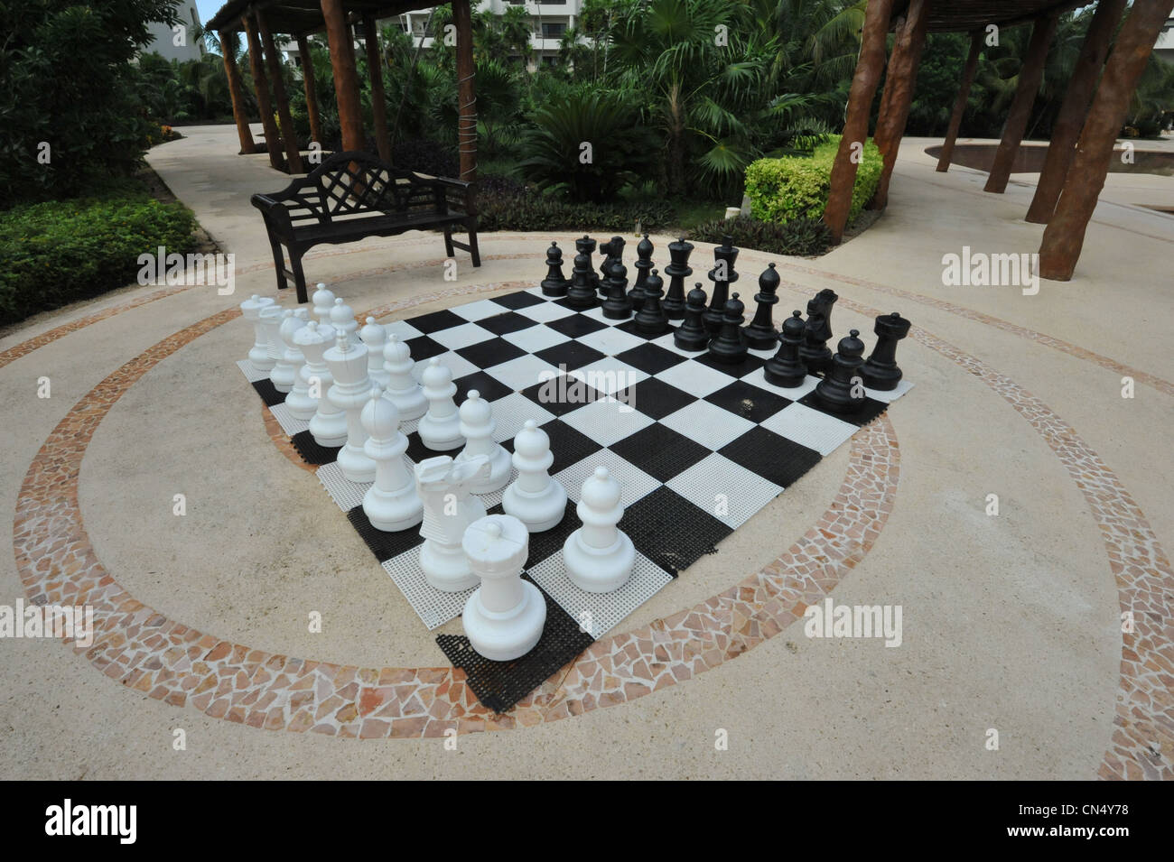Queen chess circle hi-res stock photography and images - Alamy