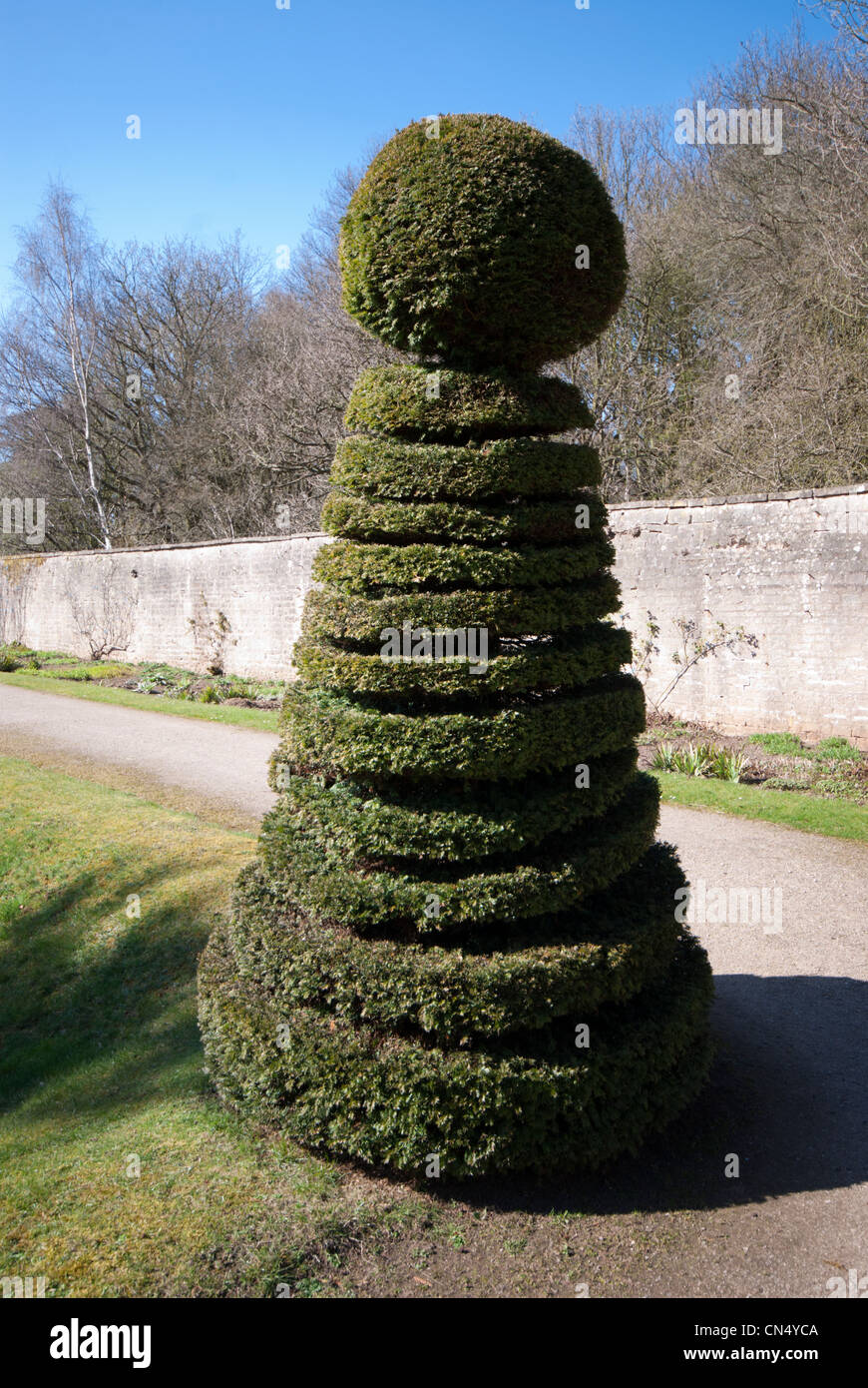 Yew Topiary Taxus Baccata High Resolution Stock Photography and Images ...