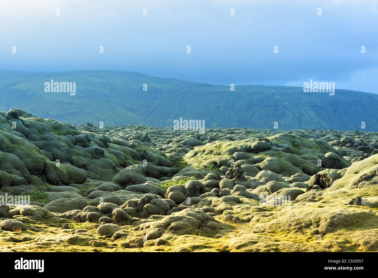 lava field at Eldhraun, Iceland Stock Photo - Alamy