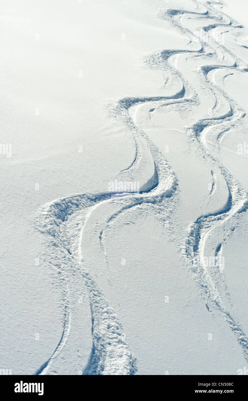two ski traces side by side in the snow Stock Photo - Alamy