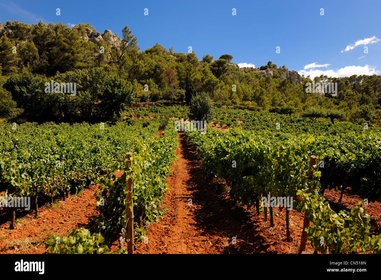 France, Herault, Orb Valley, Saint Chinian, vineyards Stock Photo - Alamy