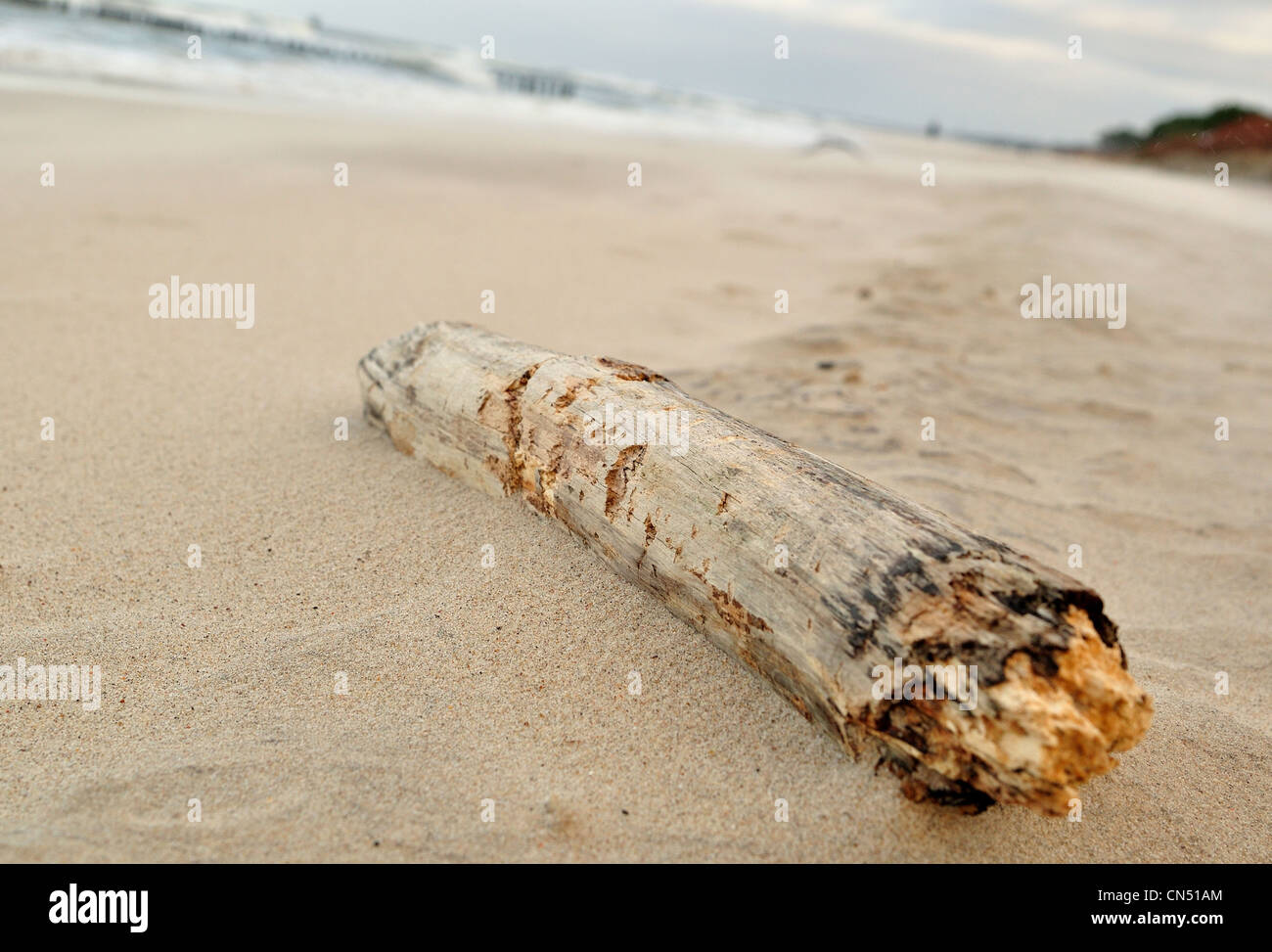 Rotten wood on a beach hi-res stock photography and images - Alamy