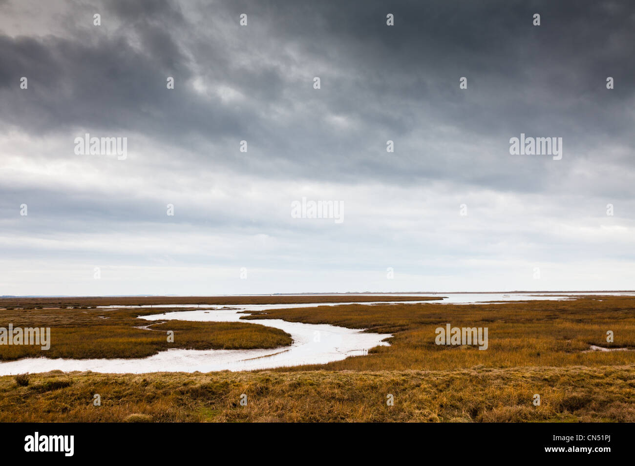 Blakeney marsh hi-res stock photography and images - Alamy