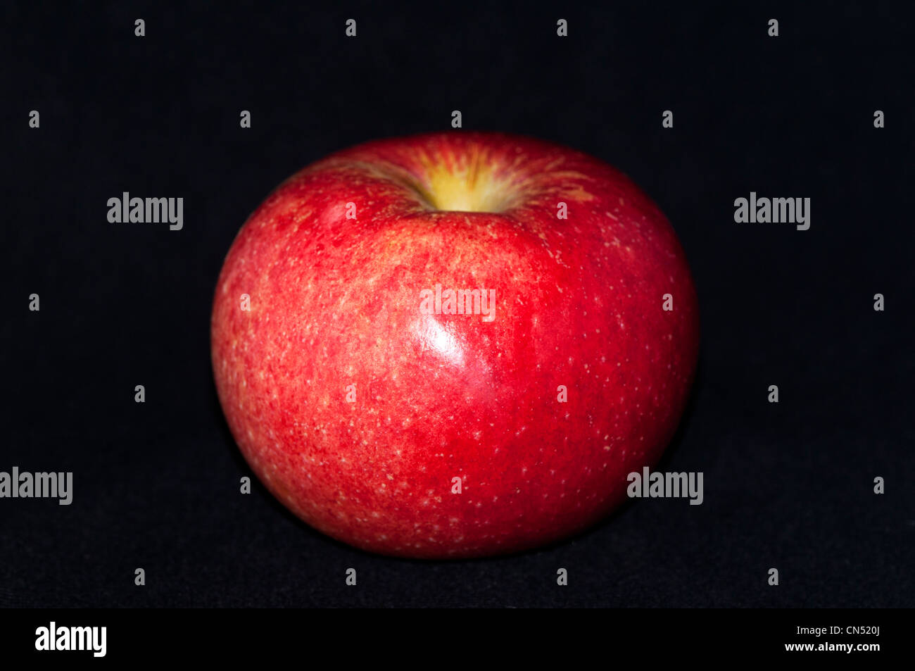 Aroma, a modern apple cultivar from Sweden, developed during the 1950s ...