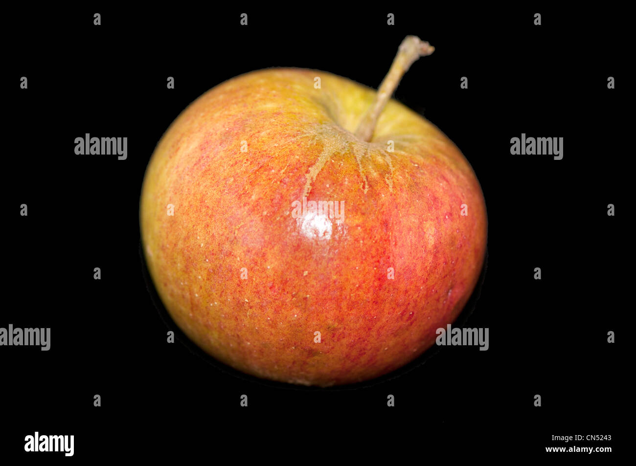 Orange pippin cultivar hi-res stock photography and images - Alamy