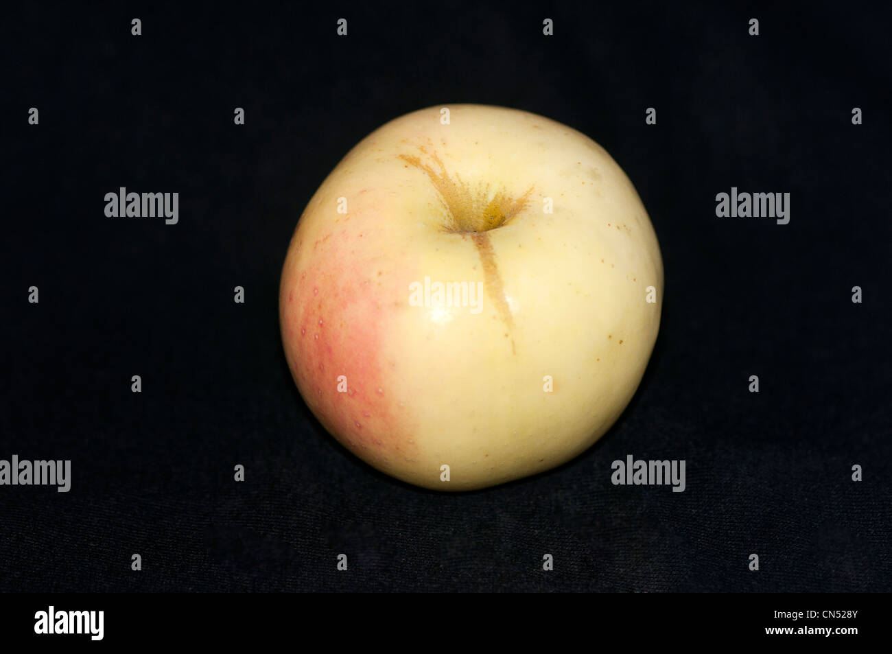 Apple cultivar, Filippa Stock Photo - Alamy