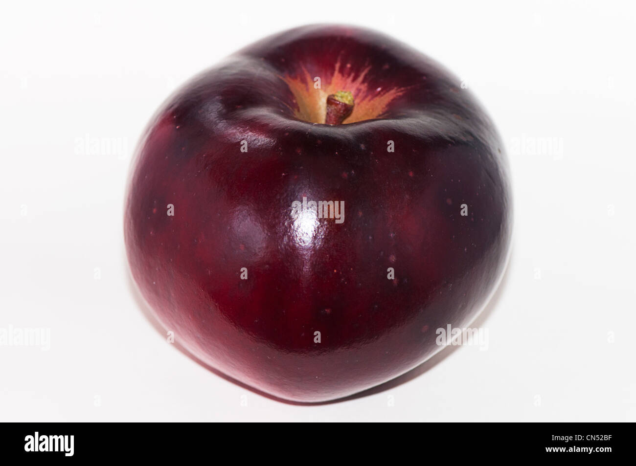 Lobo, a McIntosh-style apple cultivar from Canada Stock Photo - Alamy