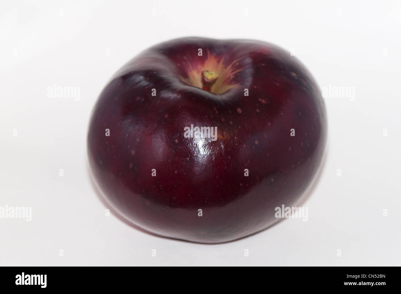 Lobo, a McIntosh-style apple cultivar from Canada Stock Photo - Alamy