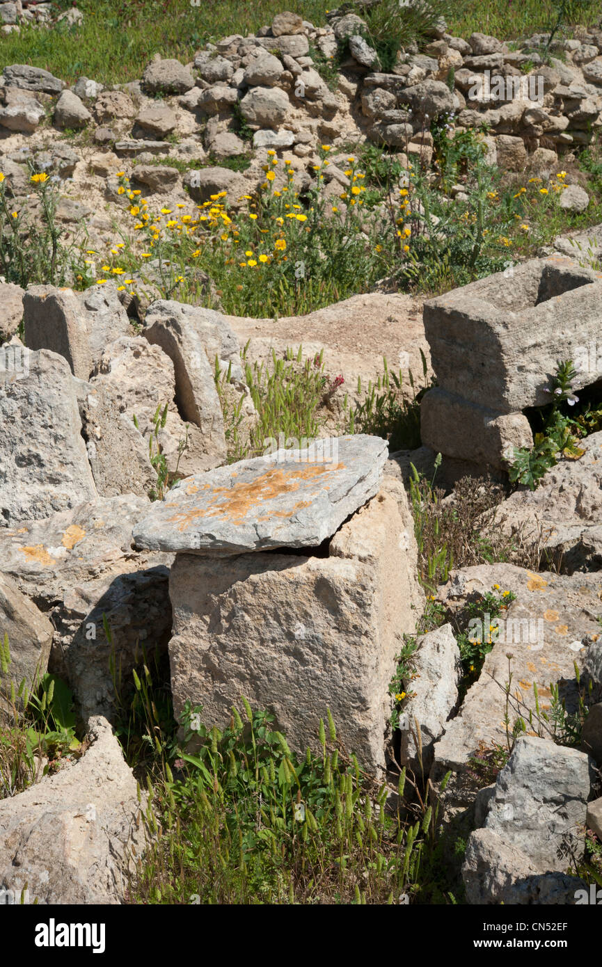 Tophet, an ancient tombstone for children, possibly sacrificed to Tanit ...
