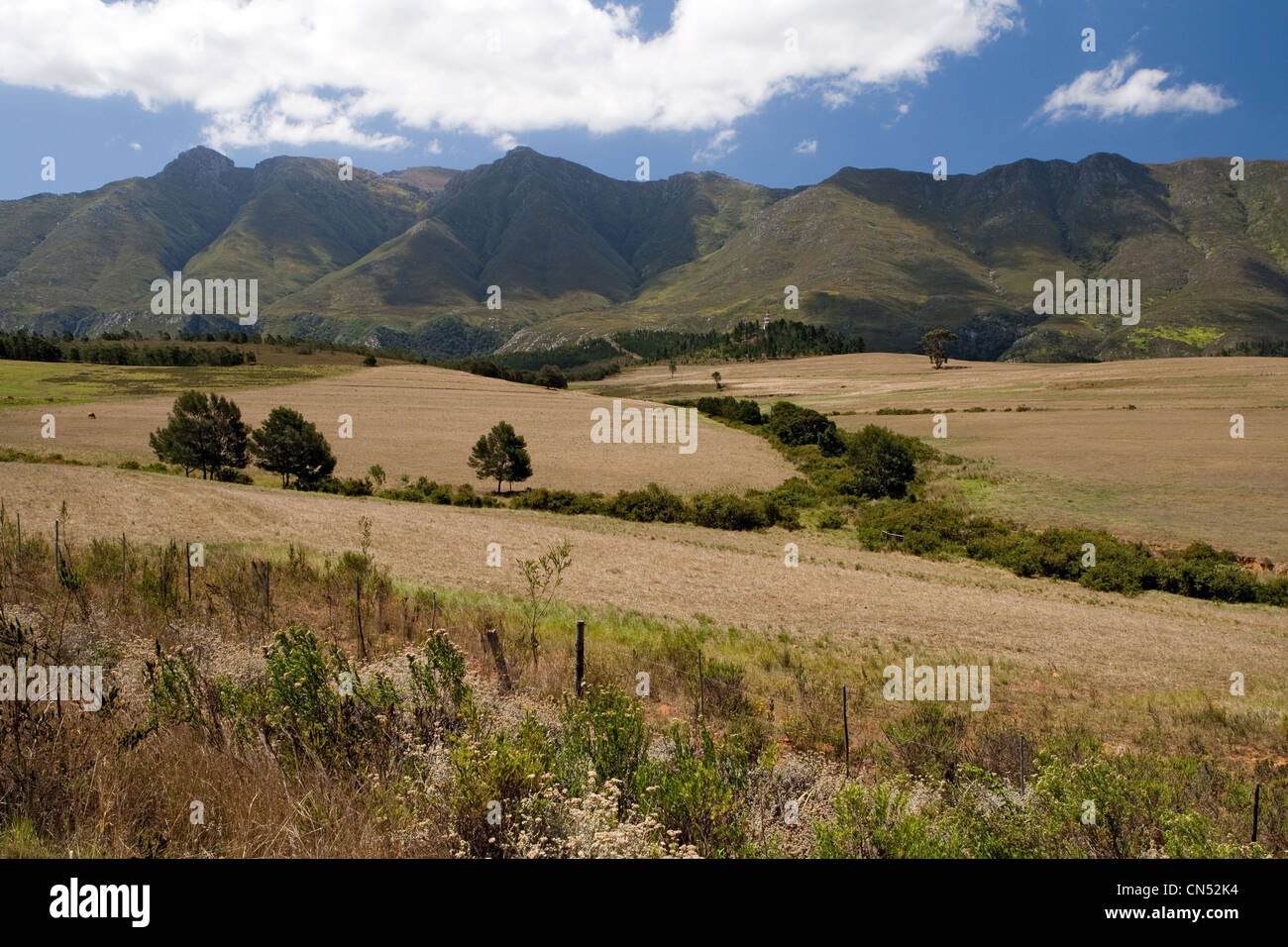 Klein karoo south africa hi-res stock photography and images - Alamy