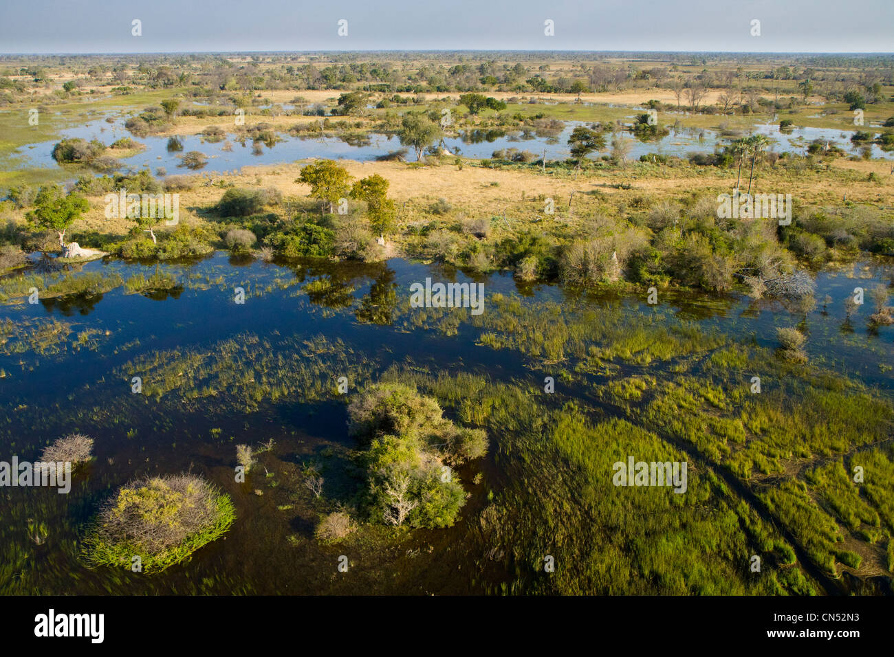 Botswana, Okavango Delta Stock Photo - Alamy