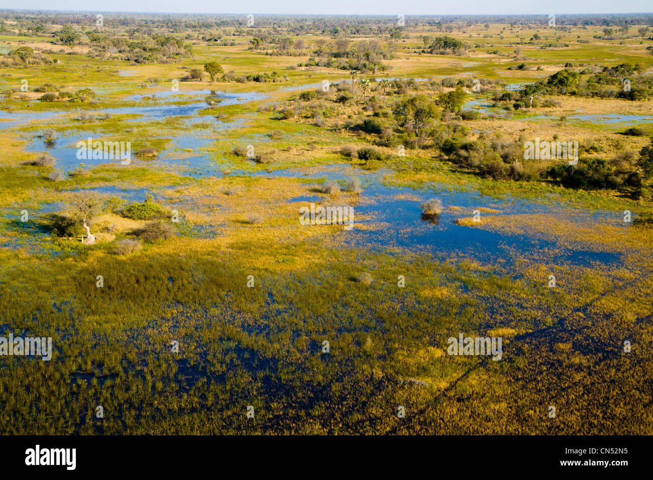 Botswana, Okavango Delta Stock Photo - Alamy