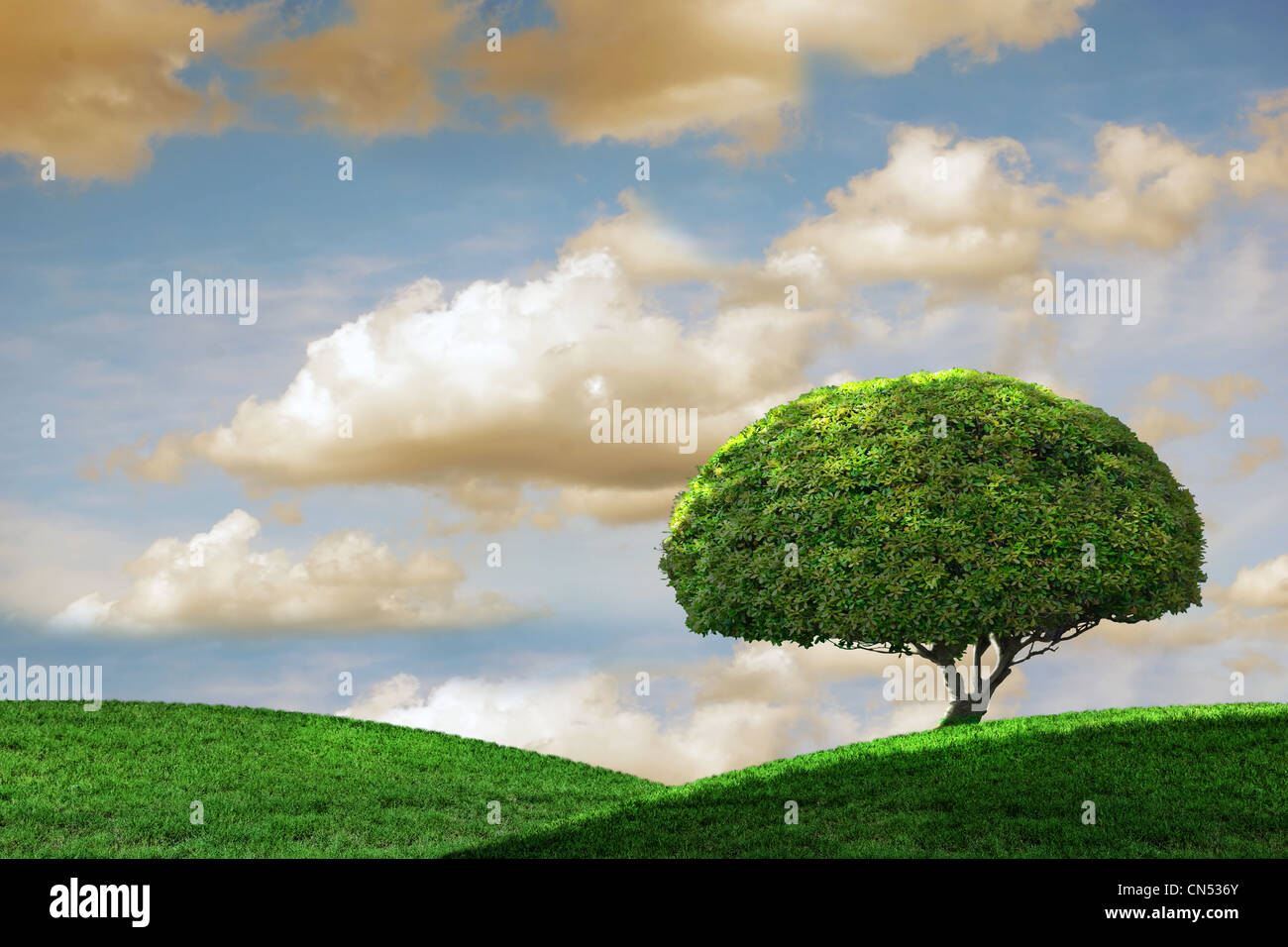 Beautiful Green Landscape Stock Photo - Alamy