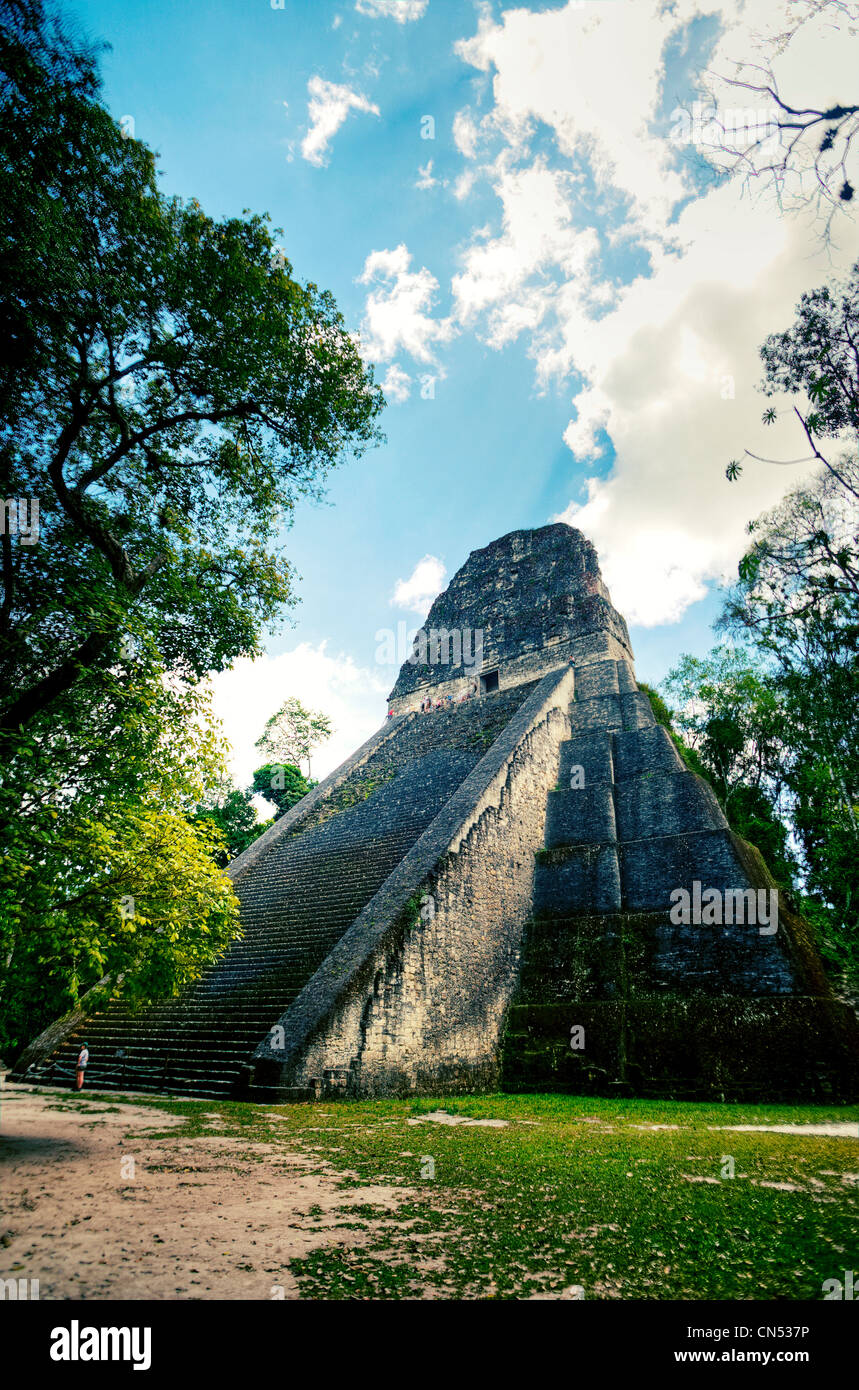 Tikal's temple V Stock Photo - Alamy