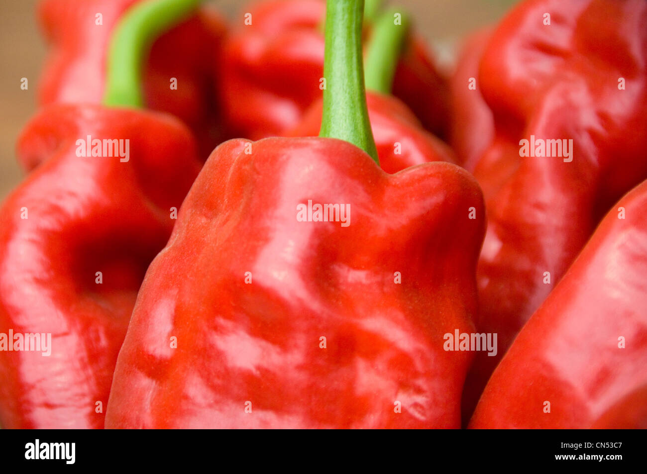 Capsicum family hi-res stock photography and images - Alamy