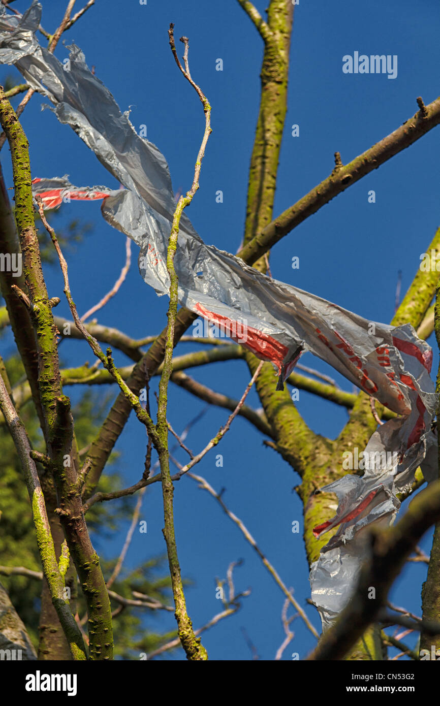 Plastic bag trapped in a tree Stock Photo - Alamy