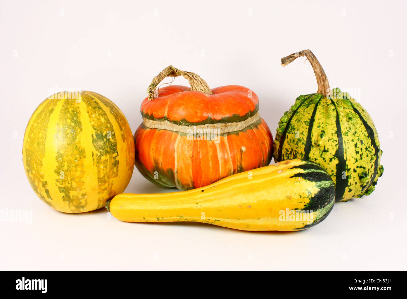 Miscellaneous colorful decorative gourds, isolated Stock Photo - Alamy