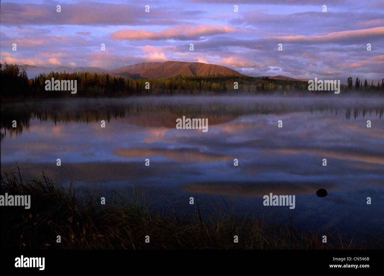 Jackfish Lake at Dawn, north end of the South Canol Road, near Ross ...