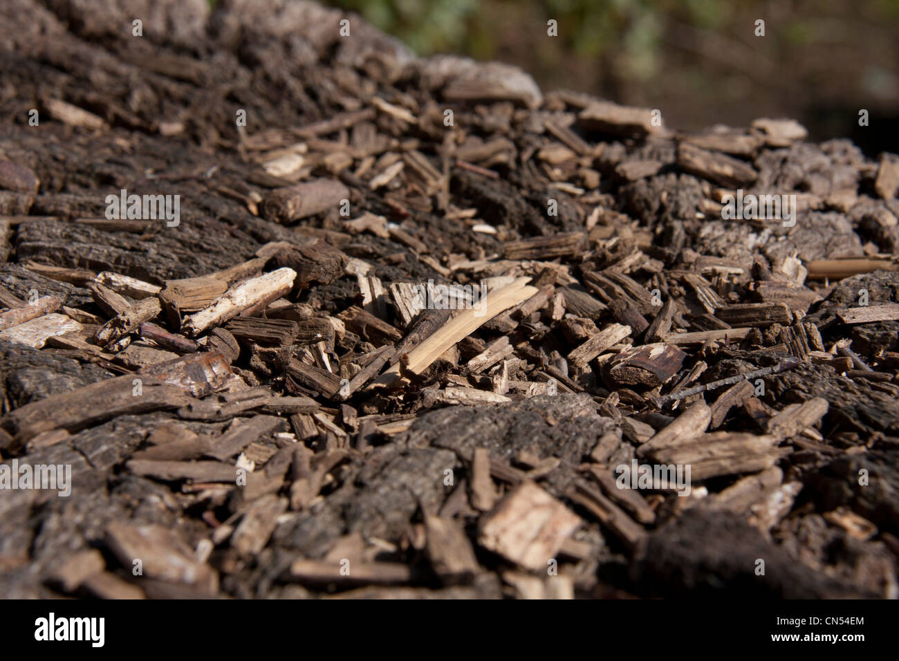 Wood Chip Woodchips Wood Chip High Resolution Stock Photography and ...